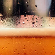 Understand your beer gases for the perfect pint - London Gases